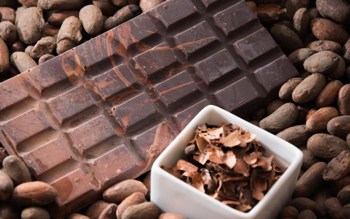 El cacao criollo: otra razón para seguir amando a Venezuela - Revista SIC