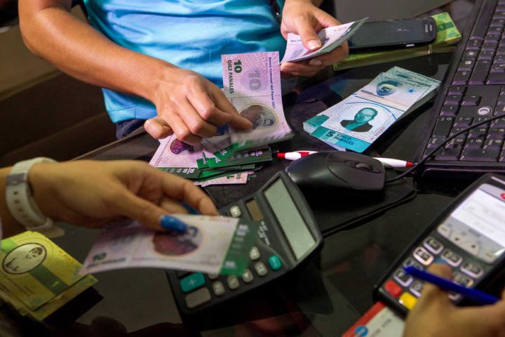 El Panal - Revista SIC